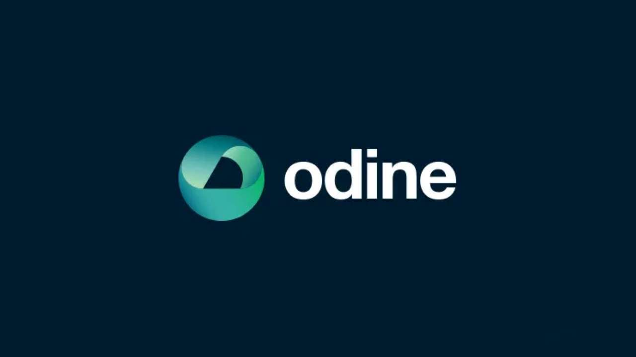 Odine Solutions Halka Arz İçin Start Veriyor
