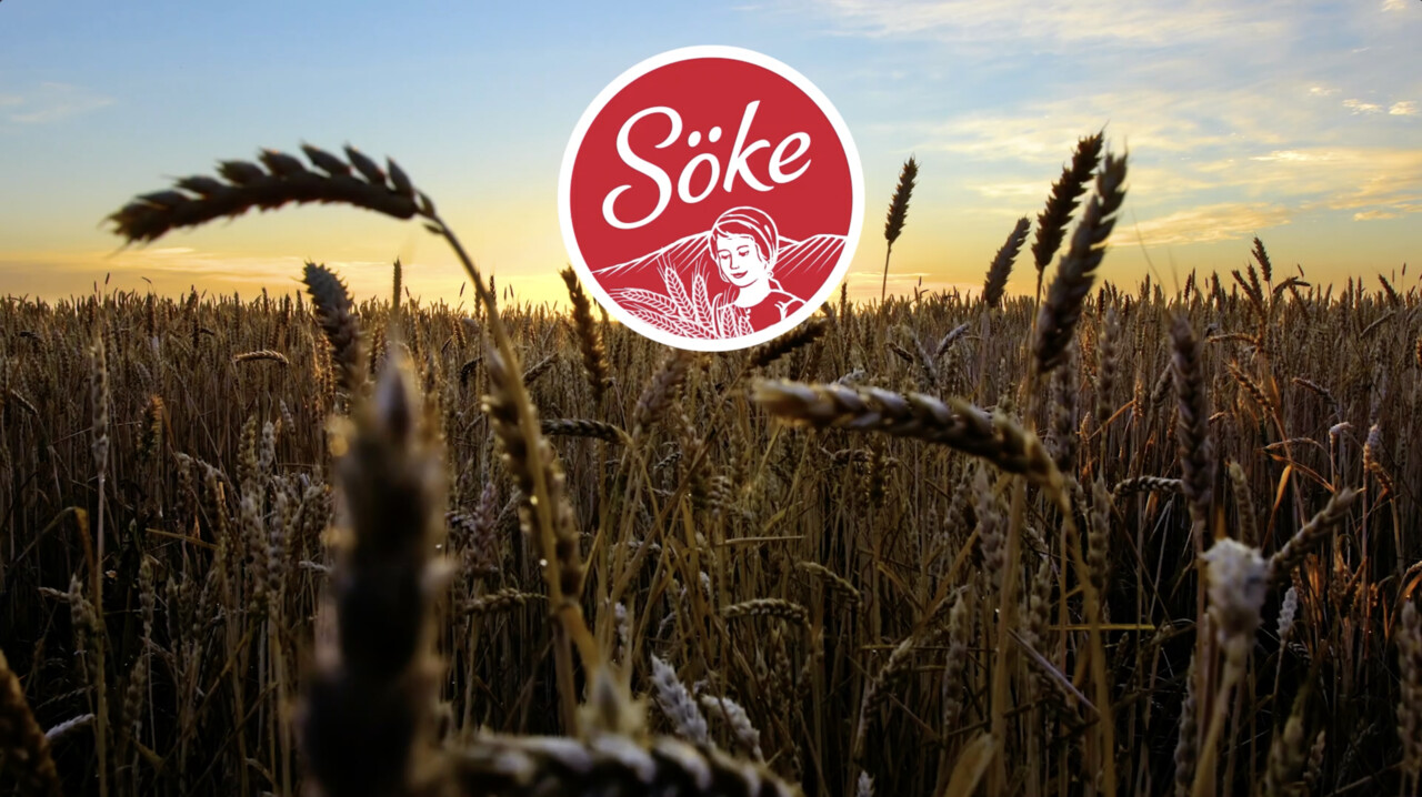 Söke Zarar Açıkladı! SOKE Hisse Bilanço İnceleme 2024